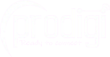 Prodigi - Integrator IT Profesional